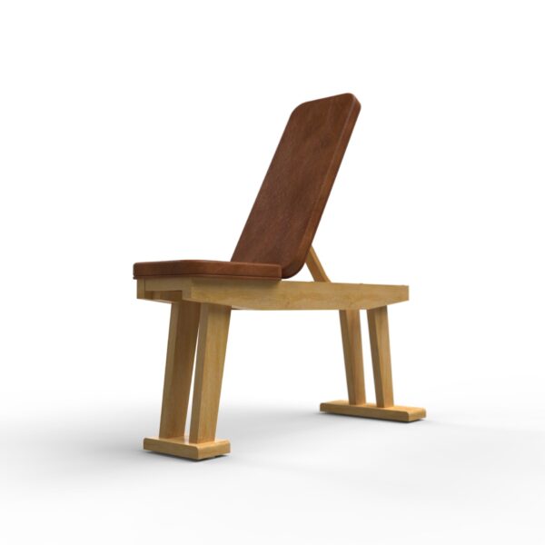 Adjustable Bench - Paragon Studio