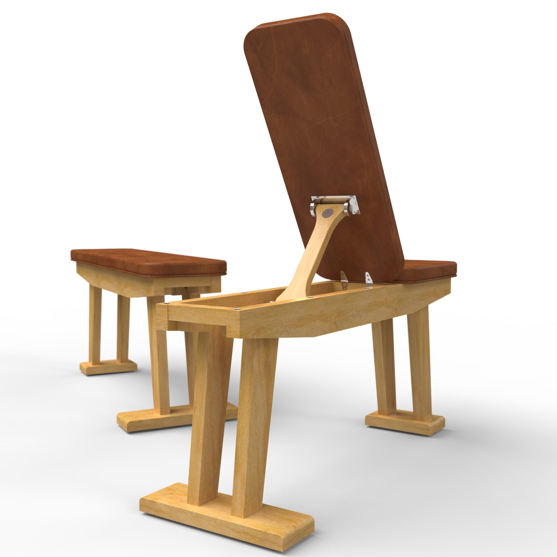 Adjustable Bench - Paragon Studio