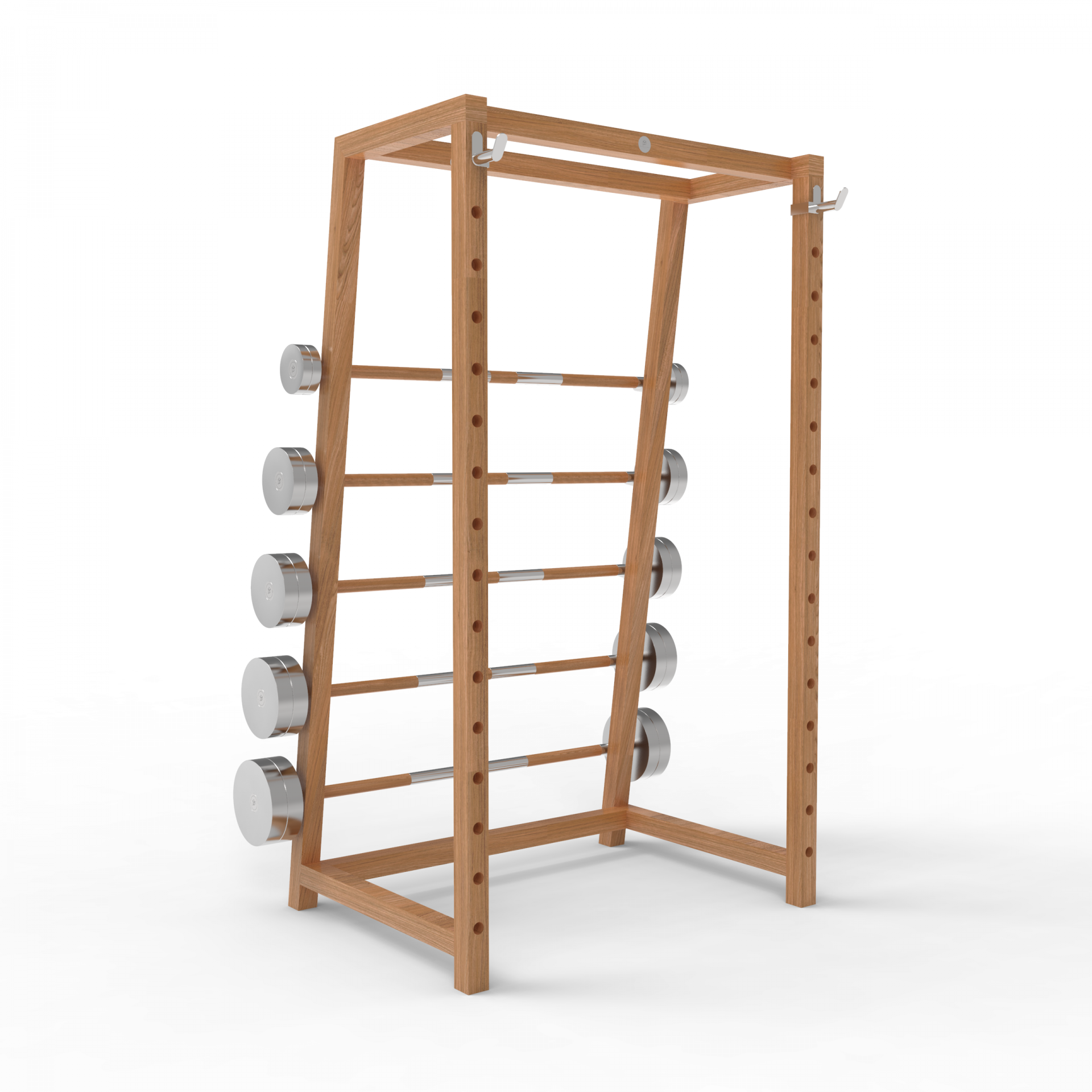 Dumbbell Wall Rack - Paragon Studio