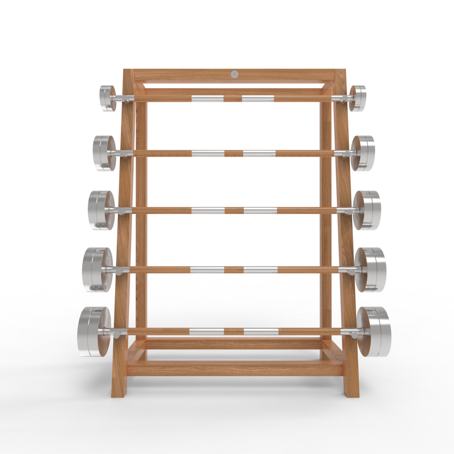 Dumbbell Wall Rack - Paragon Studio