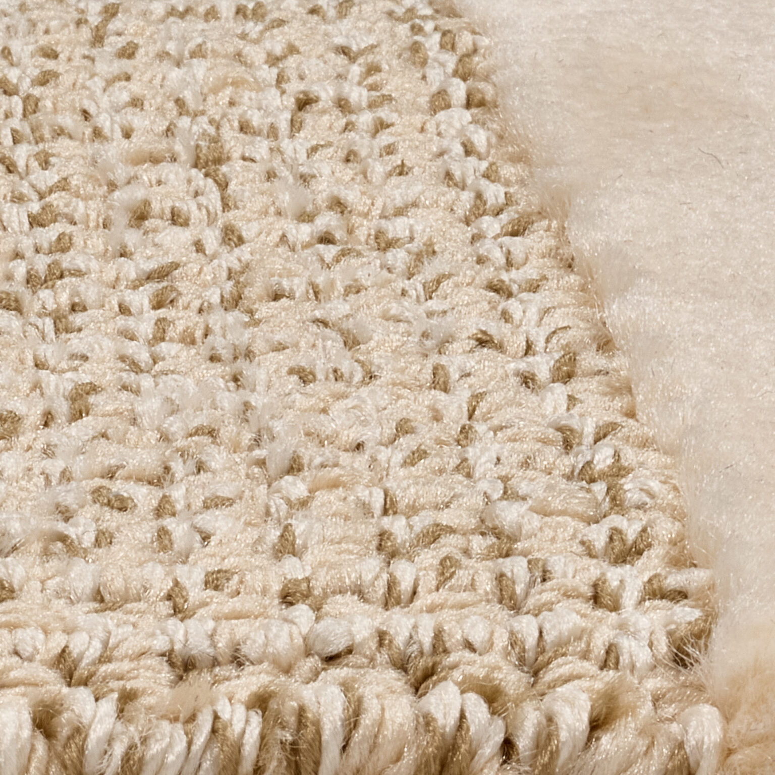 Gym Rug - Paragon Studio