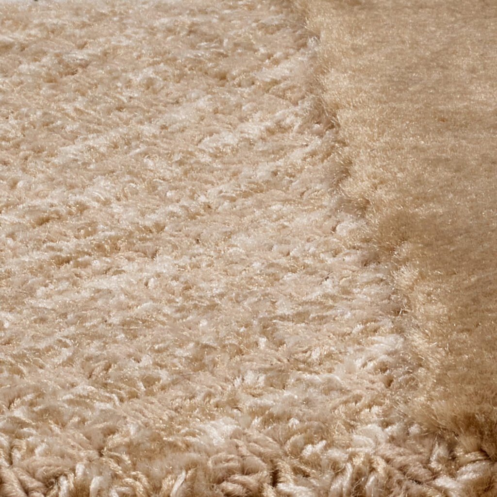 Gym Rug - Paragon Studio